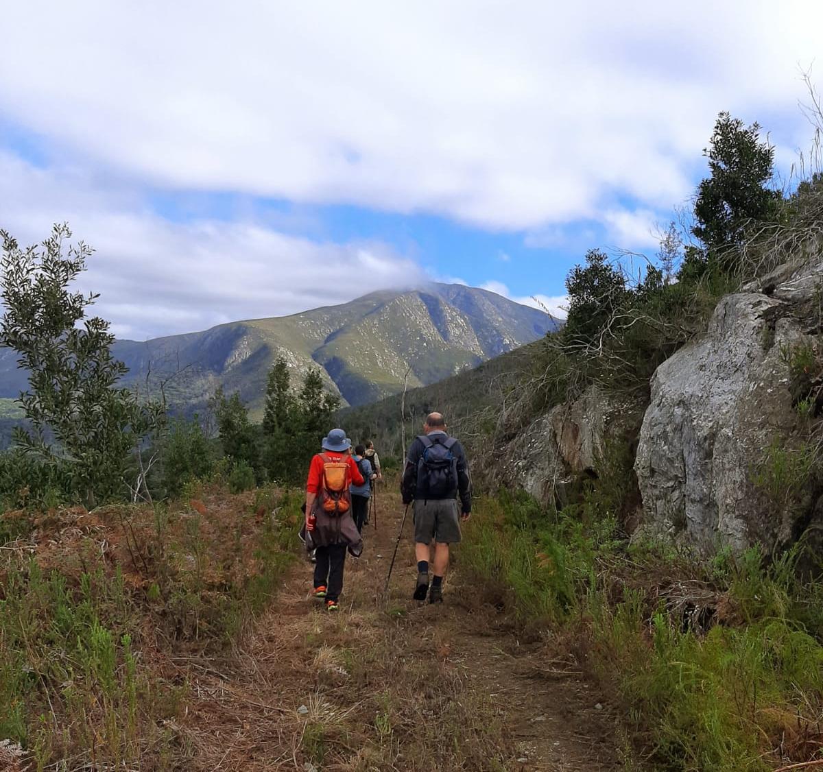 STAPROETES TE KIES EN TE KEUR! - The Post