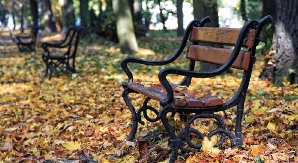 Herfs en die Siel: ‘n seisoen van rus en refleksie - The Post